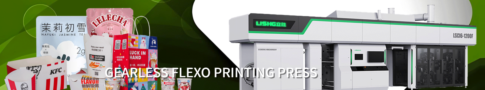 12 Common Gearless Flexo Printing Press Problems